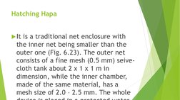 Comprehensive Hatchery Design Guide | PDF | Nature