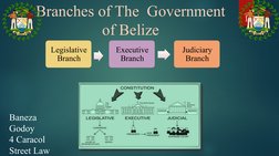 Overview of Belize's Government Branches | PDF | Judge | Supreme Courts