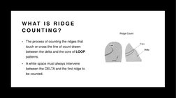 Ridge Counting and Tracing Guide | PDF