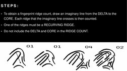 Ridge Counting and Tracing Guide | PDF