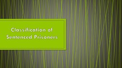 Inmate Classification and Security Levels | PDF | Prison | Detention ...