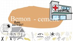 BEmONC and CEmONC Overview and Training | PDF | Childbirth | Postpartum ...