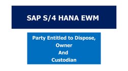Custodian and Owner Roles in SAP EWM | PDF | Logistics | Management Accounting