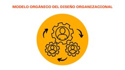 Modelos Mecánicos y Orgánicos en Diseño Organizacional | PDF | Diseño ...