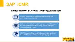 SAP ICMR: Intercompany Reconciliation Guide | PDF | Computing ...