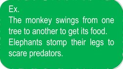 Animal Action Verbs in Present Tense | PDF