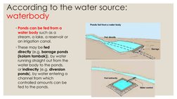 Fish Pond Design and Construction Guide | PDF | Pond | Drainage