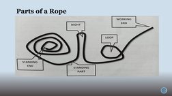 Basic Ropemanship Training Guide | PDF | Knot | Rope