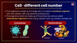 Class 9 Notes: Fundamental Unit of Life | PDF | Cell (Biology ...