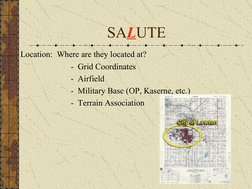 SALUTE Report Guidelines and Format | PDF | Conflicts | Military Operations