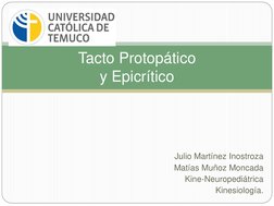 Tacto Protopático y Epicrítico en Kinesiología | PDF | Piel | Neurobiología