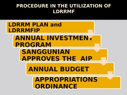 LDRRM Fund Utilization Guidelines | PDF | Emergency Management ...