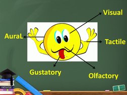 Types of Imagery in Literature | PDF