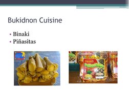 Northern Mindanao Provinces Overview | PDF | Mindanao