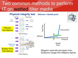 Global PUPSIT Implementation Insights | PDF | Filtration ...