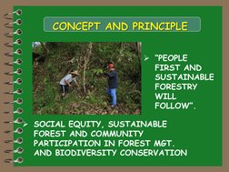 Community-Based Forest Management in the Philippines | PDF | Forestry