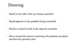 Fundus Drawing Techniques and Guidelines | PDF | Retina | Human Eye