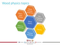 Introduction to Wood Physics | PDF | Wood | Trees