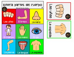 Lotería de Partes del Cuerpo Infantil | PDF | Mano | Clavo (anatomía)