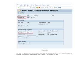 Understanding Alternative Payees in SAP | PDF | Finance & Money ...