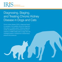 IRIS Pocket Guide To CKD PDF | PDF | Chronic Kidney Disease | Creatinine