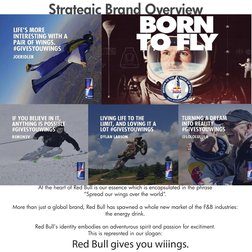 Red Bull Brand Style Guide | PDF | Rgb Color Model | Logos