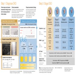 IRIS CKD Staging Guide for Dogs and Cats | PDF | Chronic Kidney Disease ...