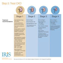 IRIS CKD Staging Guide for Dogs and Cats | PDF | Chronic Kidney Disease ...
