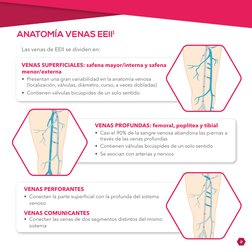 Anatomía de las Venas Safenas | PDF