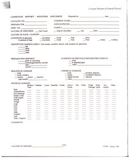 Artwork Condition Report Samples | PDF | Museum | Materials