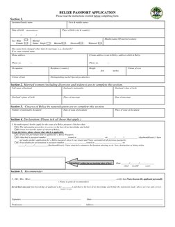 Belize Passport Application Guide | PDF