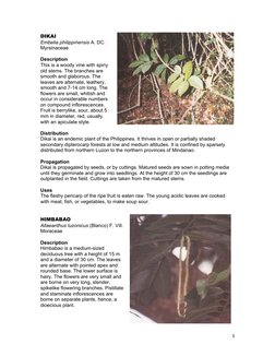 Edible Wild Plants of the Philippines | PDF | Fruit | Seed