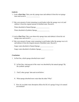 Sponge Absorbency Lab Experiment | PDF | Sponge | Mass
