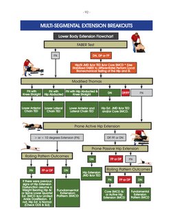 SFMA Assessment Scoring Guide | PDF | Anatomical Terms Of Motion ...