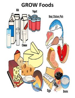GO Foods | PDF