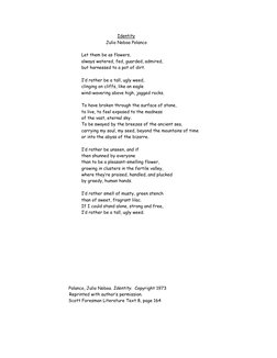 Identity Poem by Julio Noboa Polanco | PDF | Art | Poetry