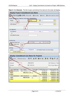 CJI5: Commitment Line Items Guide | PDF | Financial Transaction ...