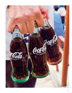 Coca-Cola Quality Management Manual | PDF | Coca Cola | Iso 9000