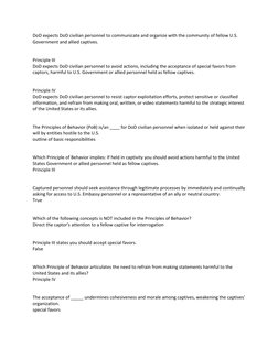 Principles of Behavior for DoD Personnel | PDF