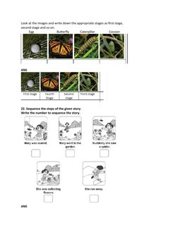 Answer Key of CH2 - Stepwise Thinking Class 3 | PDF | Butterfly | Pupa