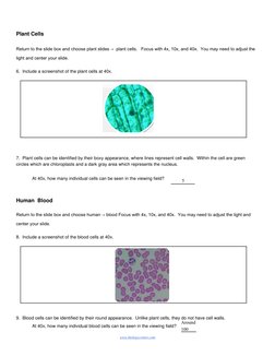 Name: Virtual Microscope by BIONETWORK: Online Edition | PDF | Optical ...