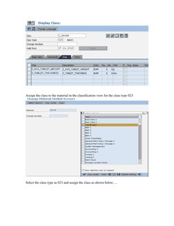 SAP Batch Classification Overview | PDF