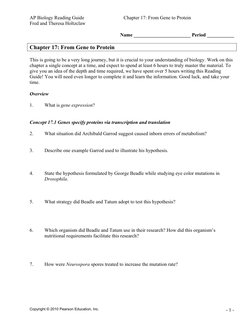 AP Biology Chapter 17 Reading Guide | PDF | Translation (Biology ...