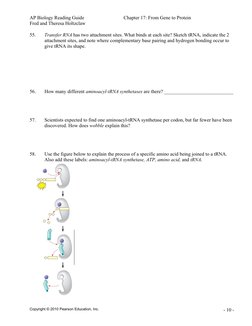 AP Biology Chapter 17 Reading Guide | PDF | Translation (Biology ...