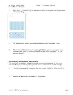 AP Biology Chapter 17 Reading Guide | PDF | Translation (Biology ...