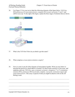 AP Biology Chapter 17 Reading Guide | PDF | Translation (Biology ...
