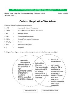 Cellular Respiration Chart Worksheet