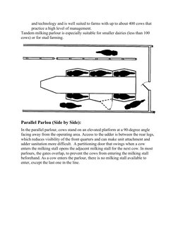 Types of Milking Parlors Explained | PDF | Dairy | Cattle
