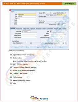 AGIS Setup in Oracle R12 Guide | PDF | Accounts Payable | Computing