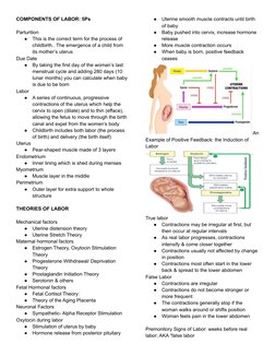 Understanding the 5 Ps of Labor | PDF | Childbirth | Pelvis